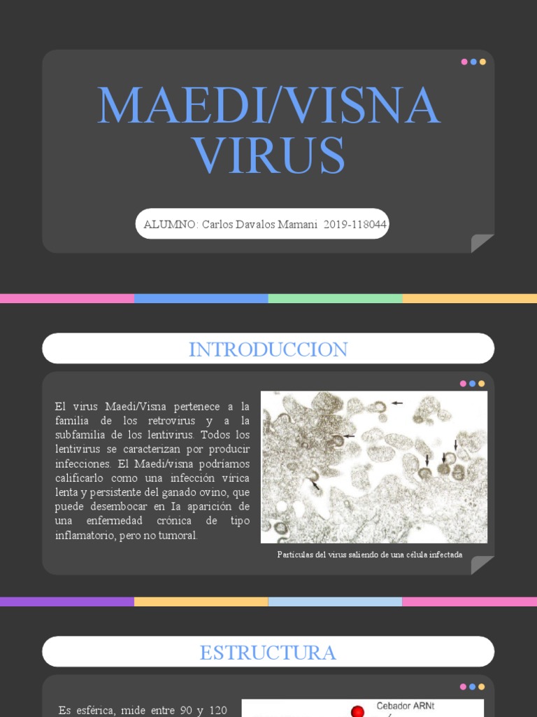 Maedi - Visna Virus | PDF | Virus | Retrovirus