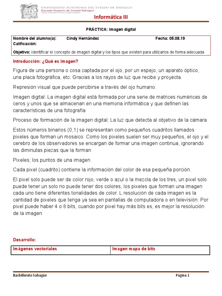 Practica 1, Imagen Digital | PDF | Píxel | Color