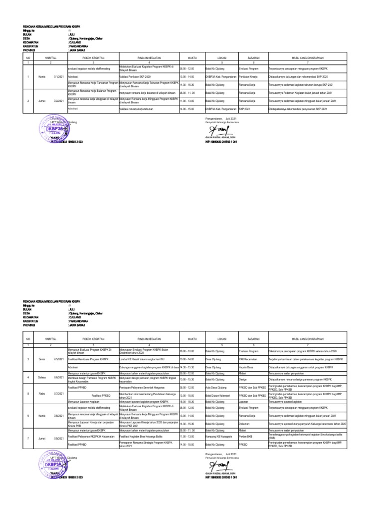 Rencana Kerja Mingguan KKBPK | PDF