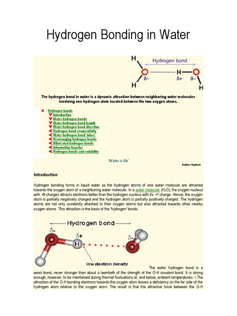 Hydrogen Bonding in Water | PDF | Hydrogen Bond | Chemical Bond