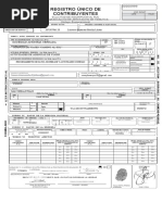 Registro Unico de Contribuyentes (Ruc) : 01 3 Tramite 02 7 Sección A ...