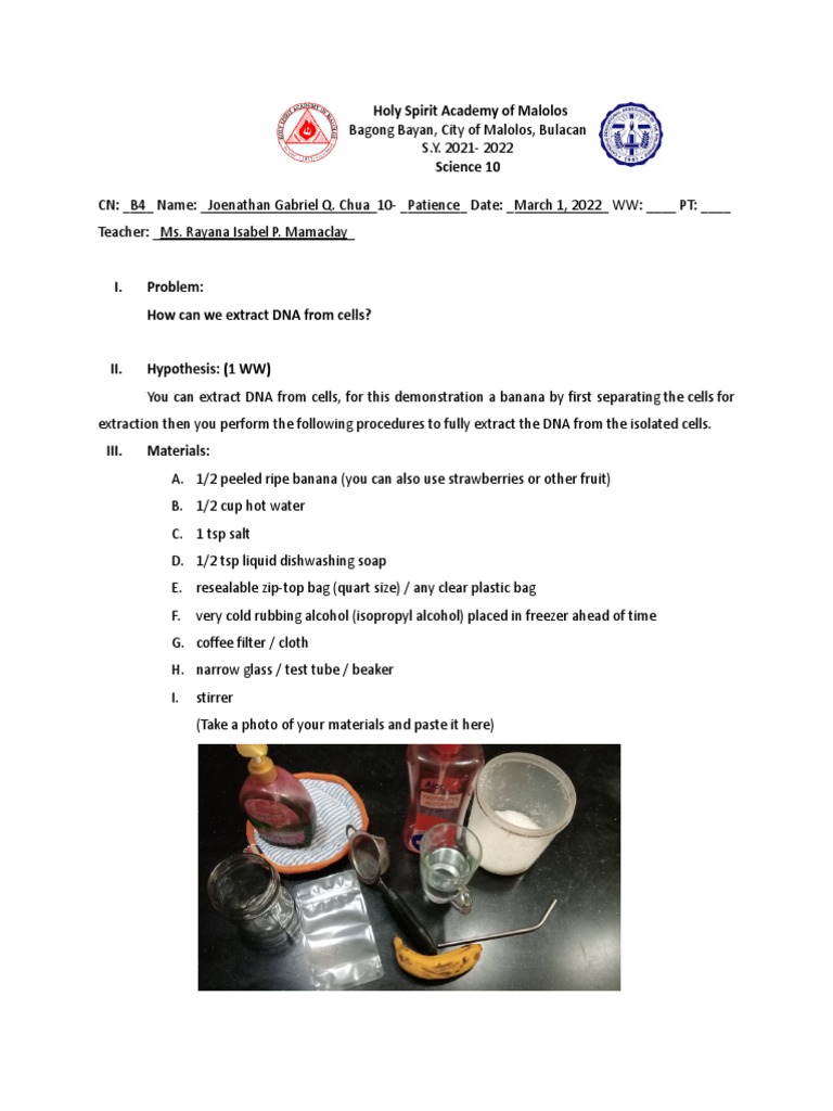 B04 Joenathan Gabriel Chua - DNA Extraction - Activity Paper | PDF ...