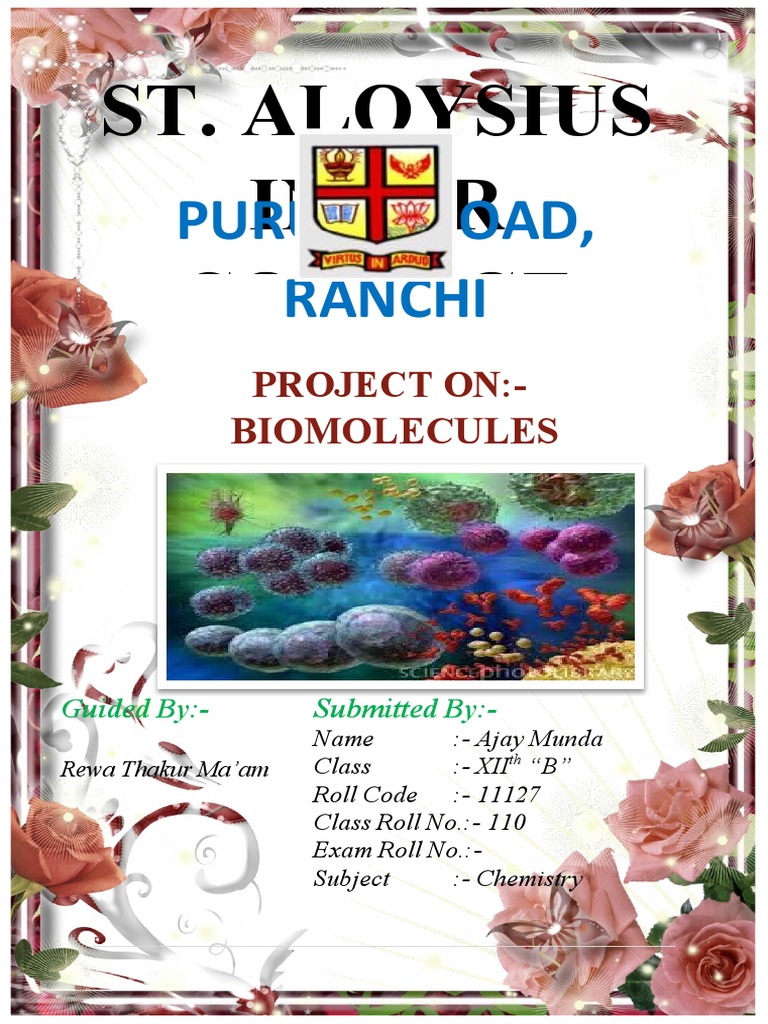 BIOMOLECULES-CHEMISTRY Projects | PDF | Biomolecules | Metabolic Pathway