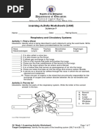 Circulatory and Respiratory Review | PDF | Circulatory System | Blood