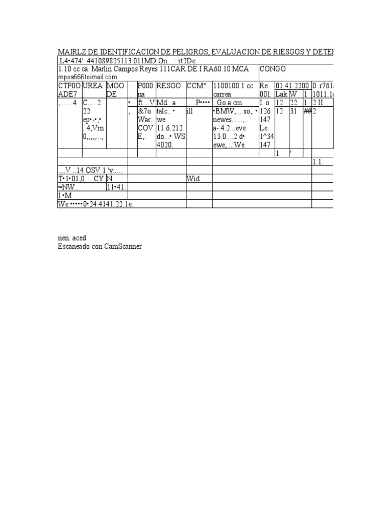 001 - Modelo Iperc Covid 19 PDF | PDF