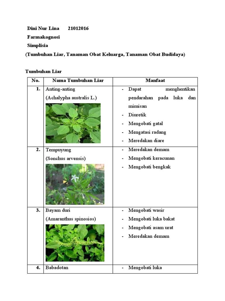 Farmakognosi - Simplisia (Tanaman Dan Tumbuhan Obat) - Dikonversi | PDF