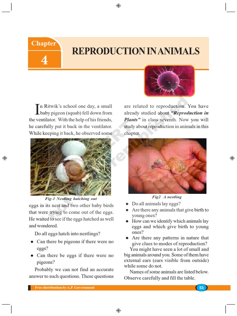 Reproduction in Animals: Plants" in Class Seventh. Now You Will | PDF ...