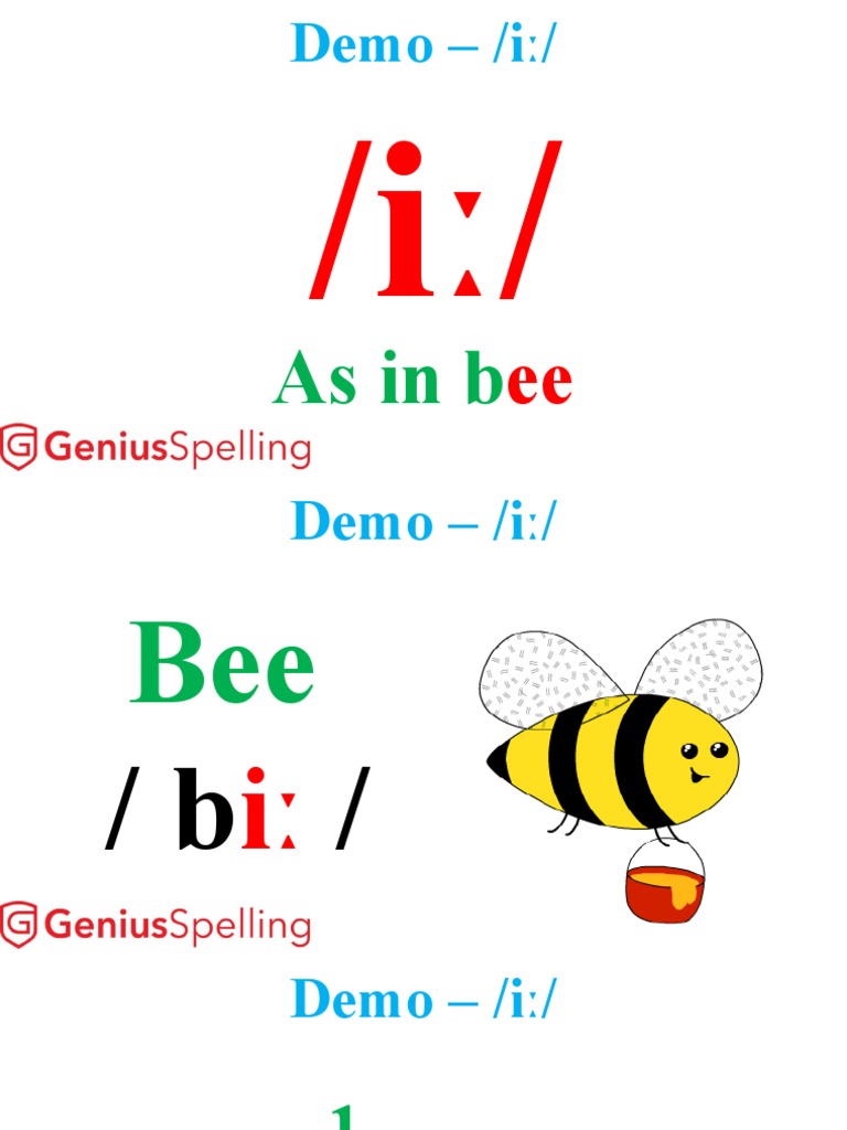 Demo Spelling NEW 1 | PDF