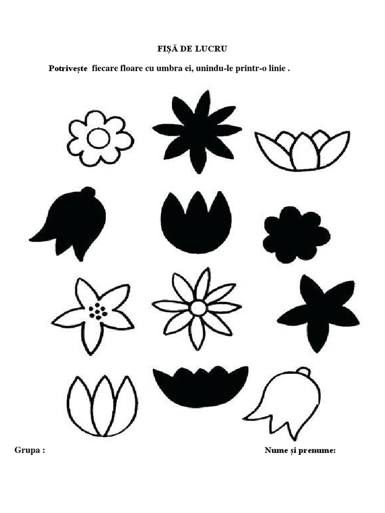 Fise Flori | PDF
