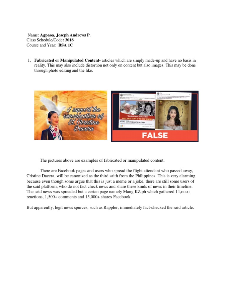 Fabricated Content | PDF