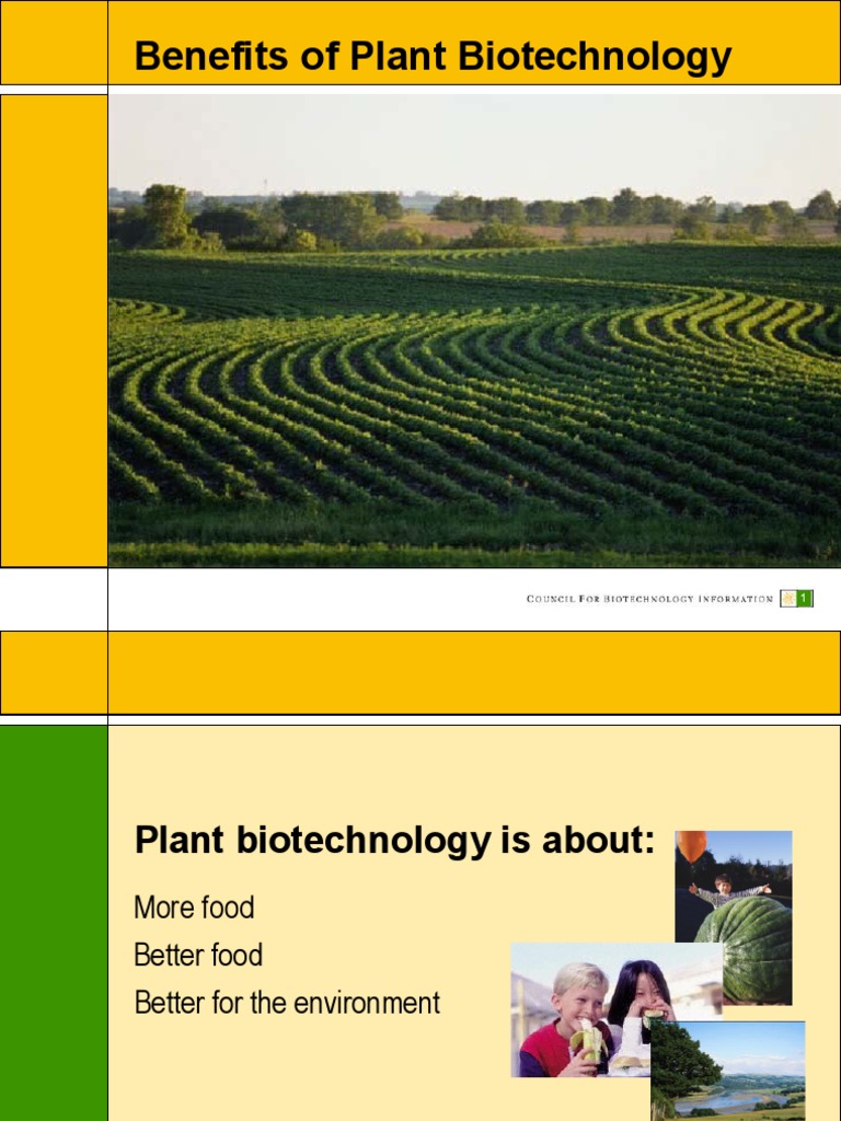 Benefits of Plant Biotechnology | PDF | Nature | Biotechnology