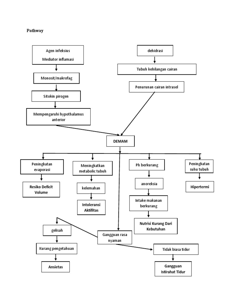 Pathway Febris | PDF