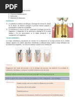 Tema 5. Anatomía Apical. Constricción Apical. Conductometría. | PDF ...