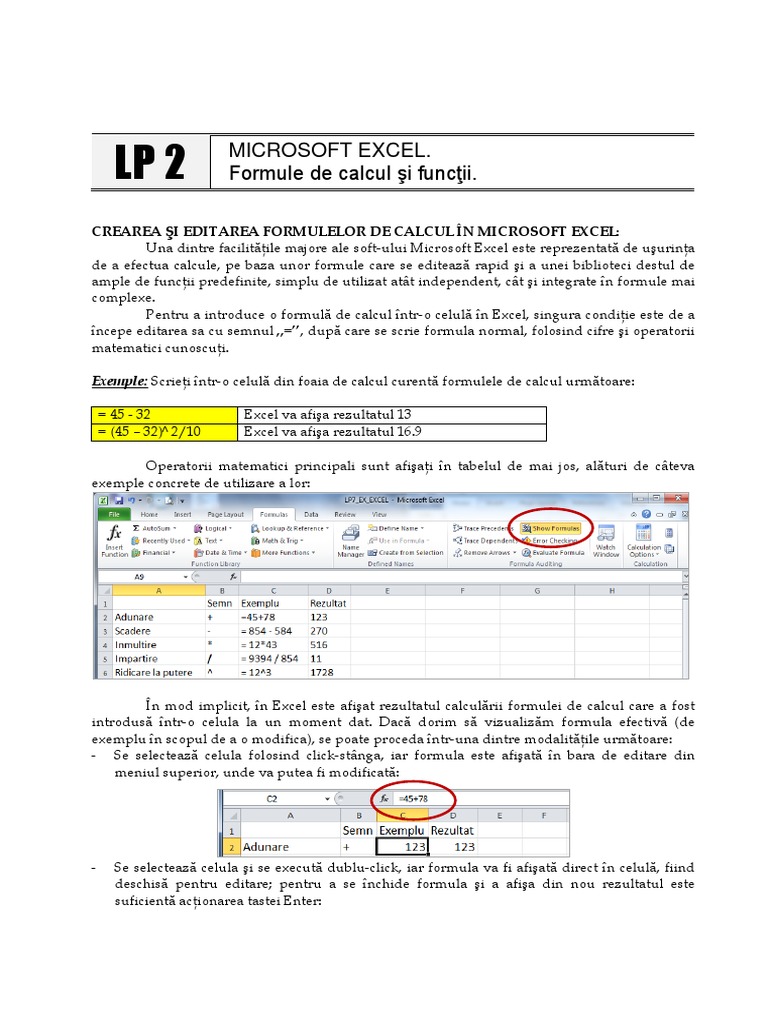 LP 2 Excel Ro - Indicatii | PDF