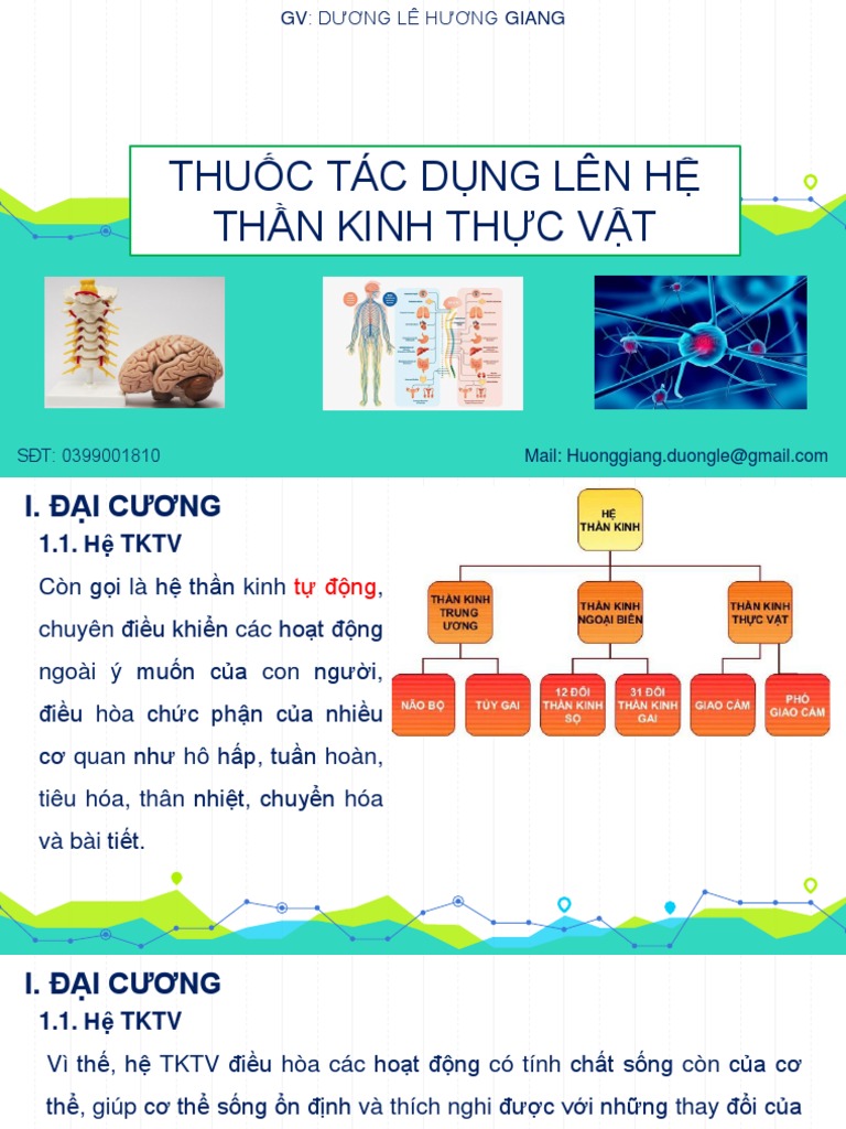 Thuốc Tác Dụng Lên Hệ TKTV ... | PDF