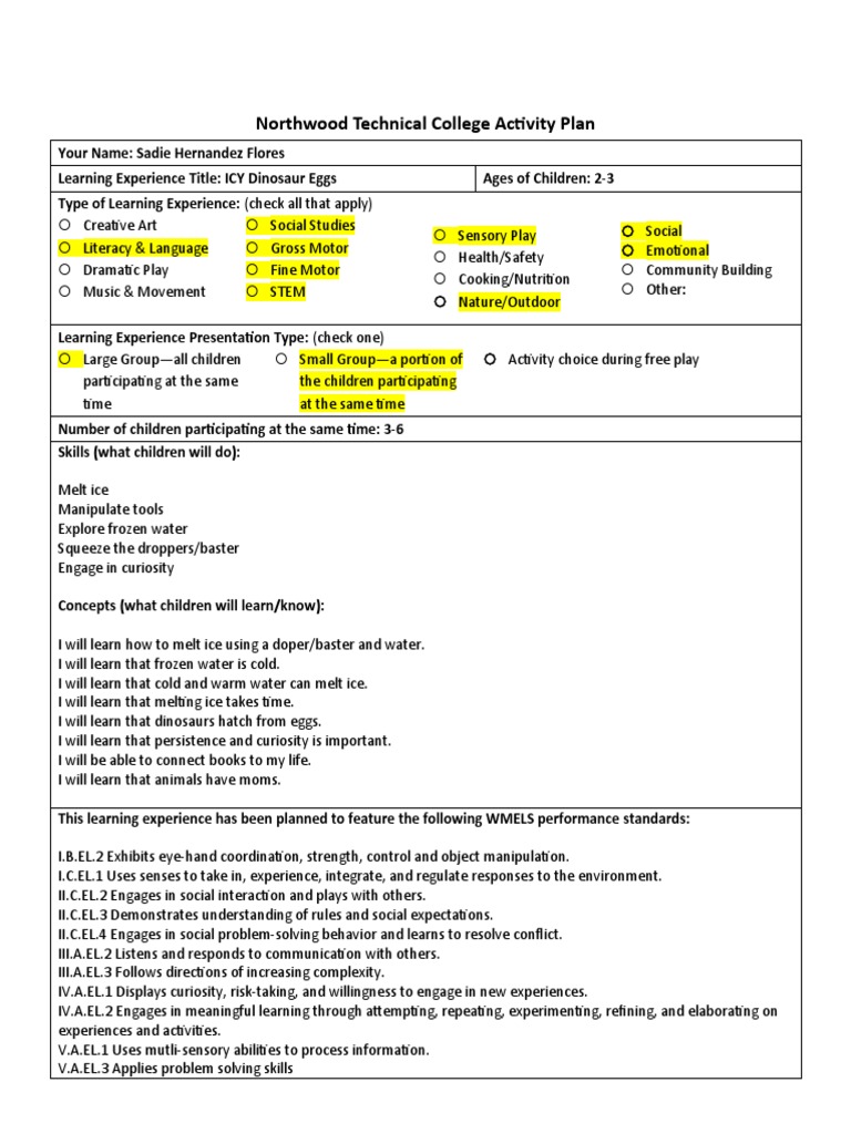 Social Studies Activity Plan | PDF | Learning | Experience