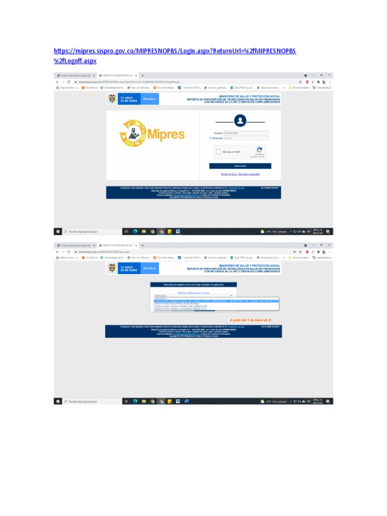 Como Usar Mipres | PDF