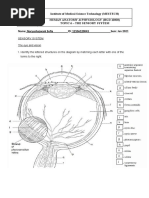 External Anatomy of the Frog | PDF | Vertebra | Peritoneum