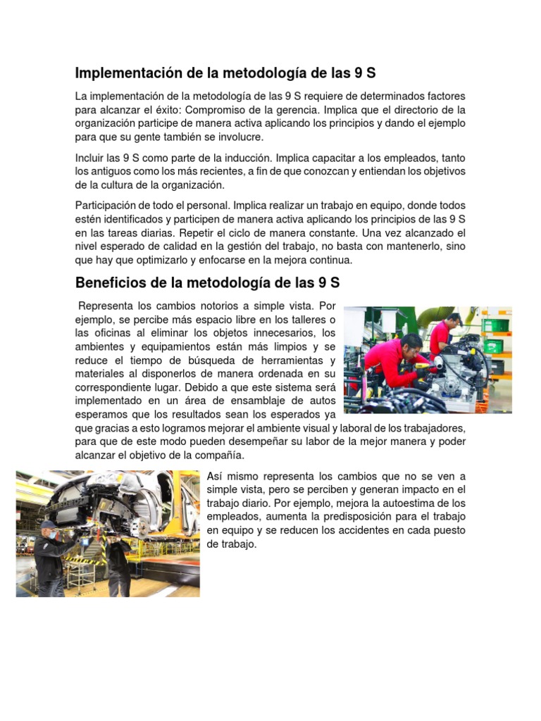 Metodologia 9s Aplicada | PDF