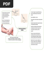 Posición de Roser o Proetz | PDF | Inflamación | Biología Celular)