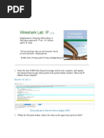IP Wireshark Lab Solution | PDF | Internet Protocols | Network Packet