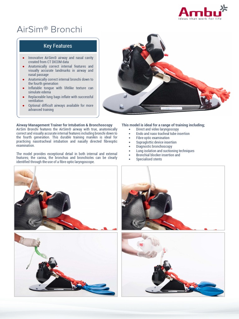AirSim Bronchi Airway Management Trainer | PDF | Technology & Engineering
