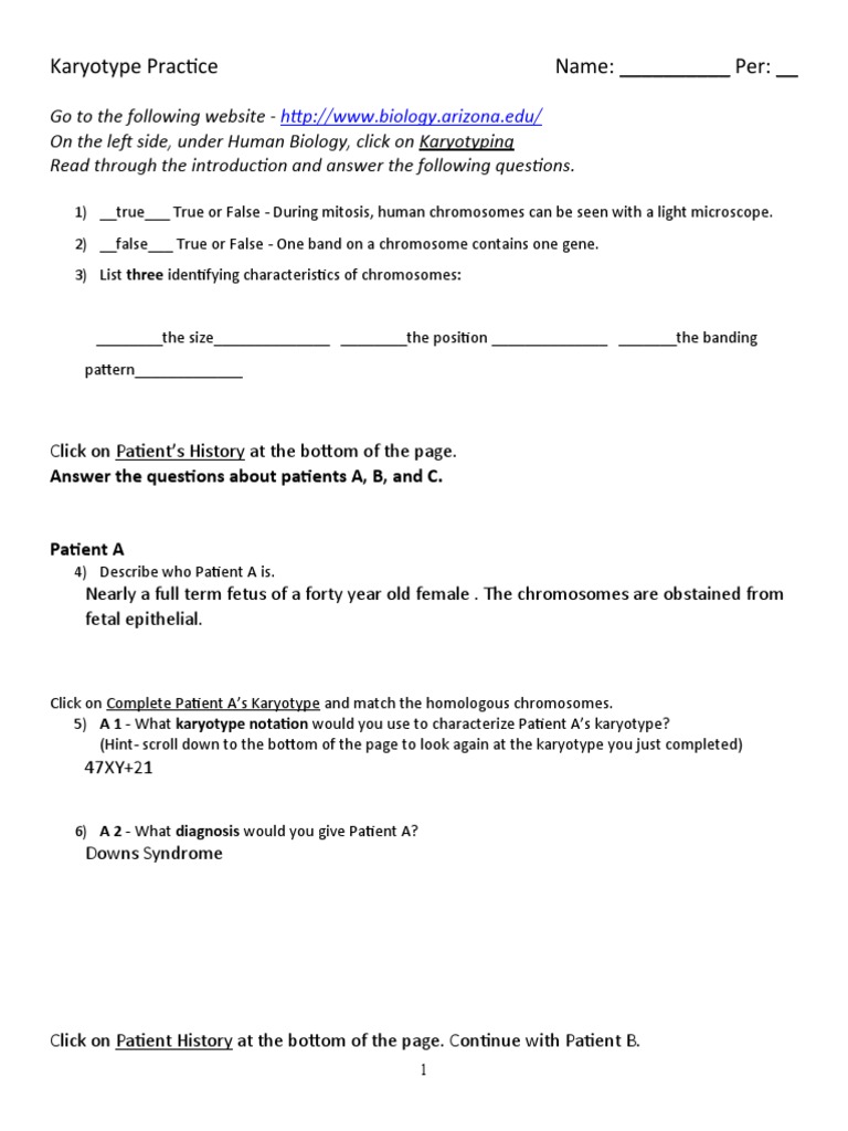 107 - Karyotype Practice | PDF | Karyotype | Chromosome