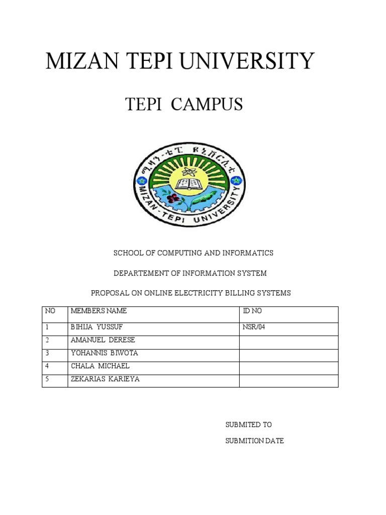 Mizan Tepi University | PDF | Information Technology Management ...