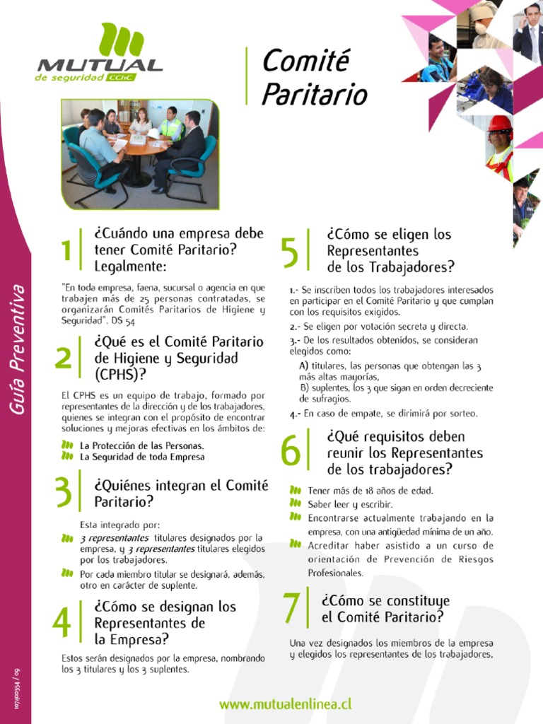 Comité Paritario - Mutual de Seguridad | PDF