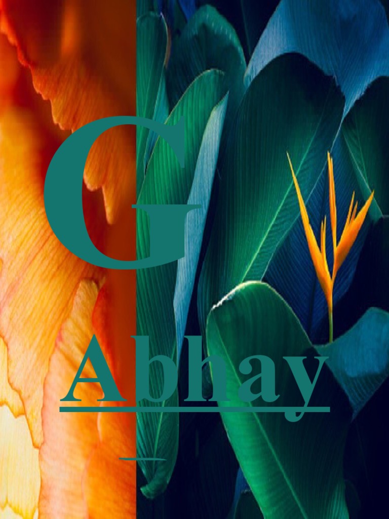 B23 G11 Phase2 Report Godrej Abhay Raj | PDF | Consumer Behaviour | Behavior