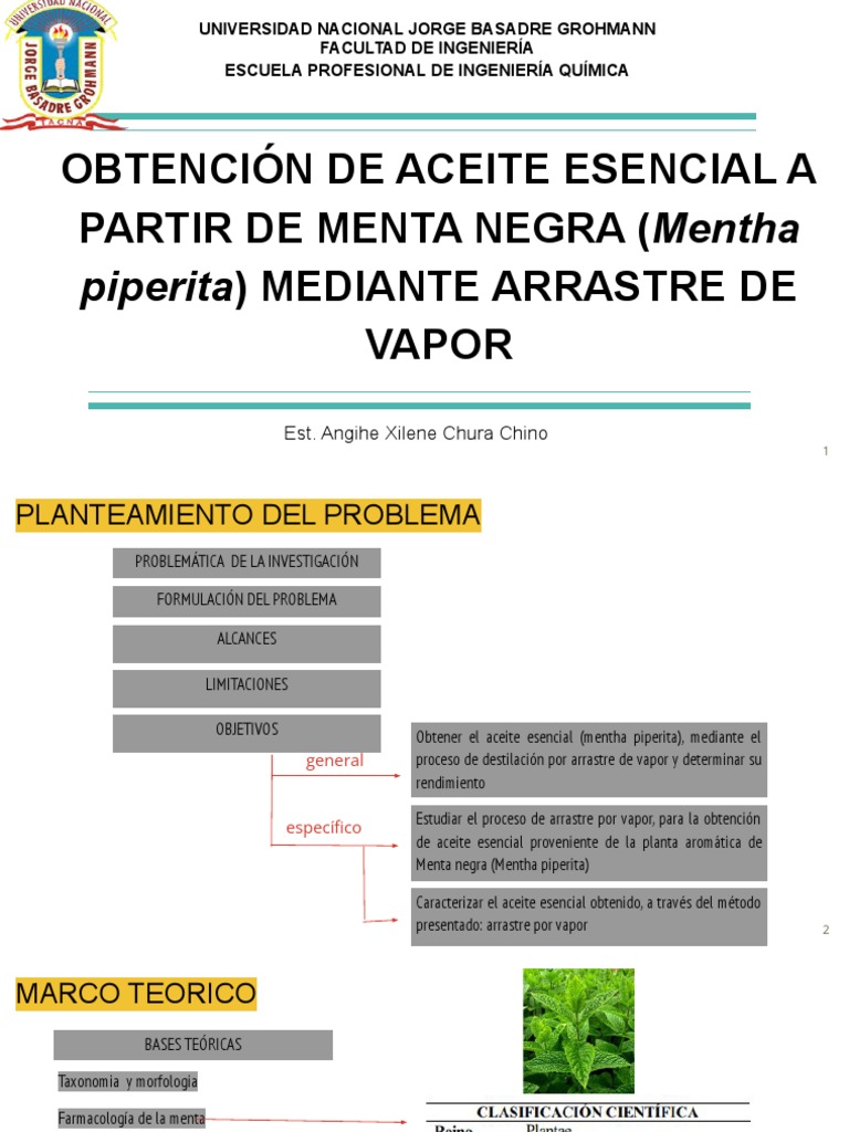 OBTENCIÓN DE ACEITE ESENCIAL A PARTIR DE MENTA NEGRA (Mentha Piperita ...