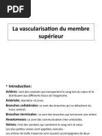 Angiologie Systeme Vasculaire Du Membre Superieur | PDF | Main ...