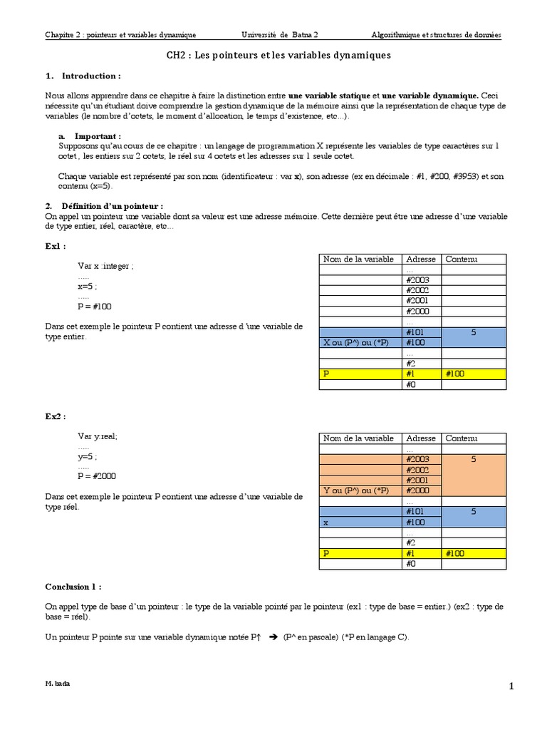 Pointeurs et variables dynamiques | PDF | Pointeur (programmation ...