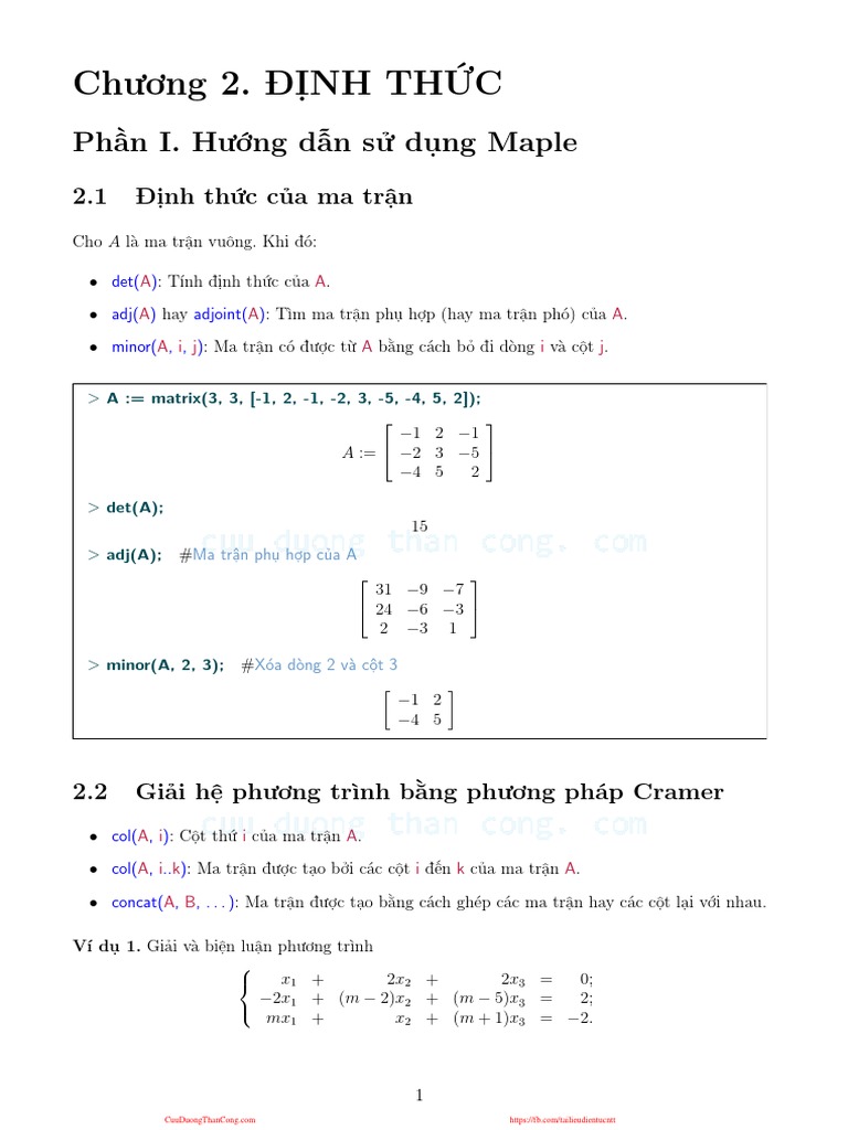 Dai-So-Tuyen-Tinh - Nguyen-Anh-Thi - THDSTT - Chuong-2 - Dinh-Thuc - (Cuuduongthancong - Com) | PDF