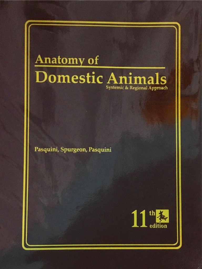 Anatomy of Domestic Animals, 11th Edition | PDF