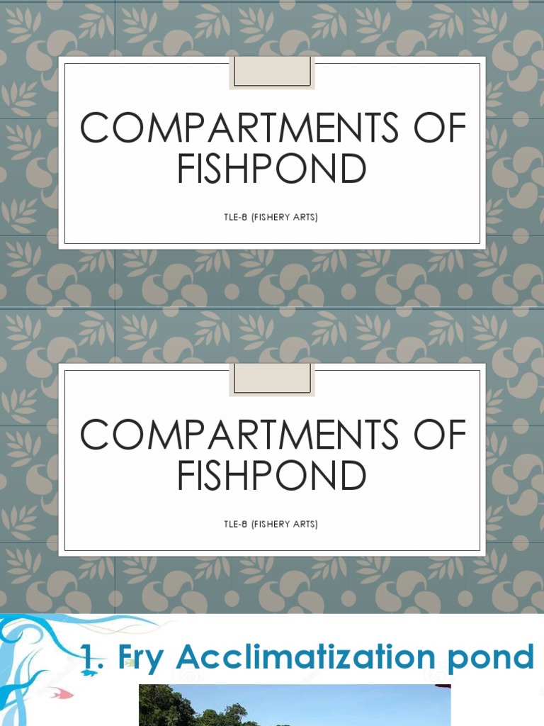 2.4tle-8a Compartments of Fishpond | PDF