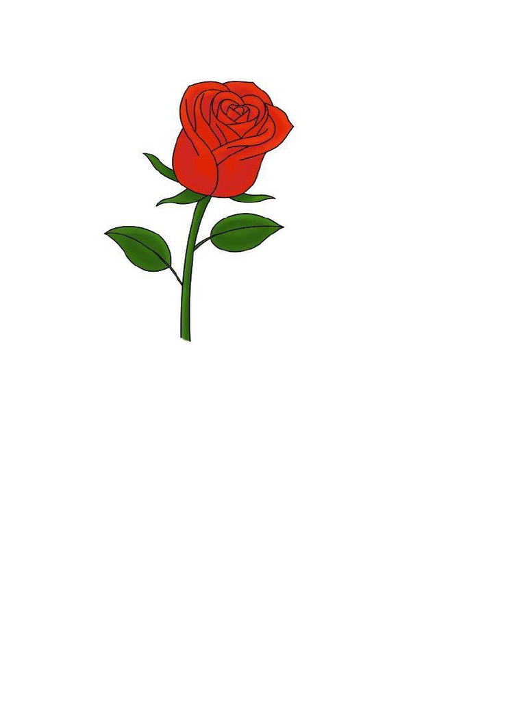 Rose | PDF