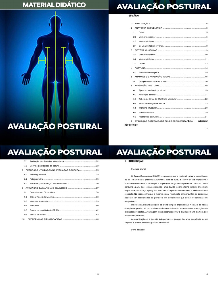 Avaliação Postural na Fisioterapia | PDF | Coluna vertebral | Crânio