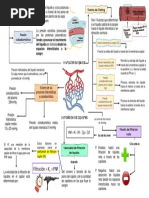 Sistema Hexaxial de Bailey | PDF | Electrocardiografia | Corazón