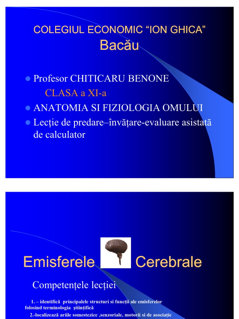 Emisferele Cerebrale | PDF
