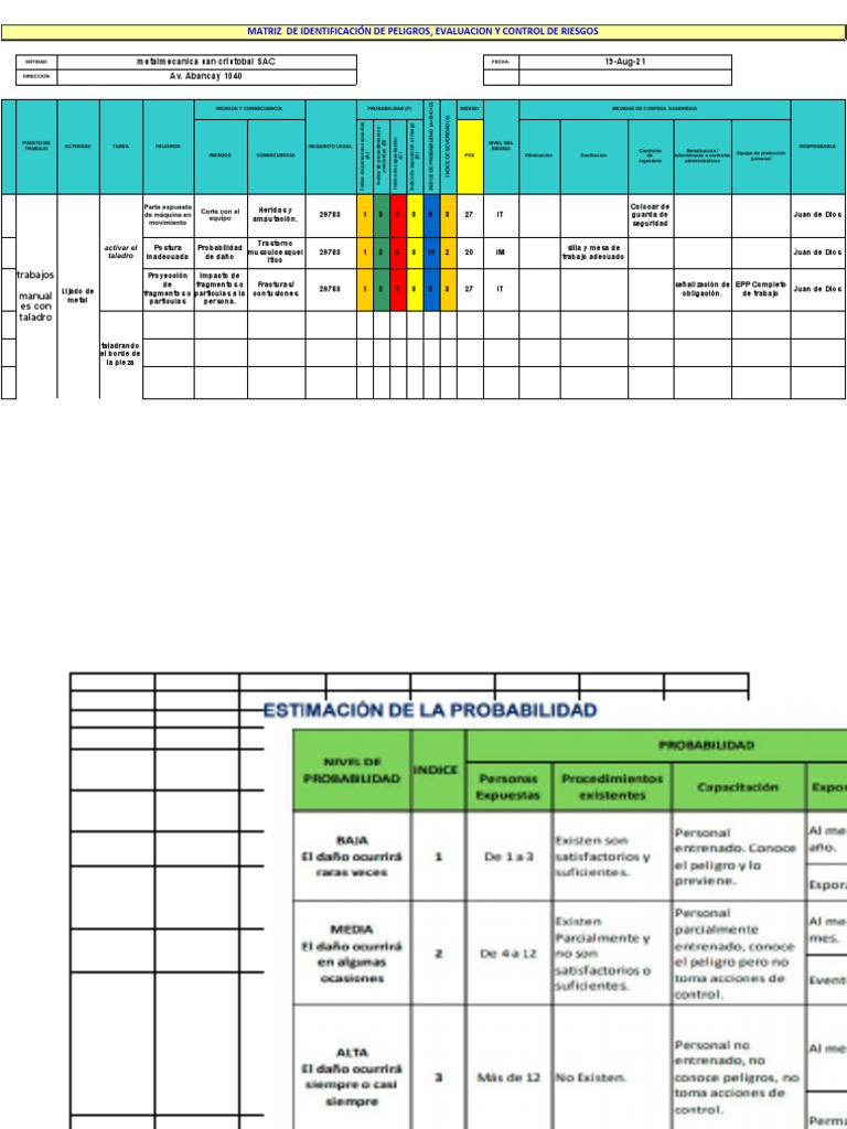 Modelo Completo de Iper | PDF