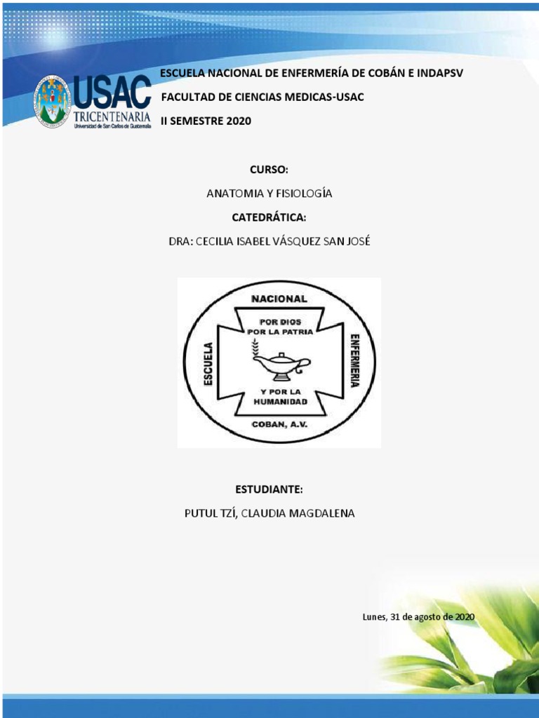 Texto Paralelo de Anatomia y Fisiologia | PDF | Articulación | La ...