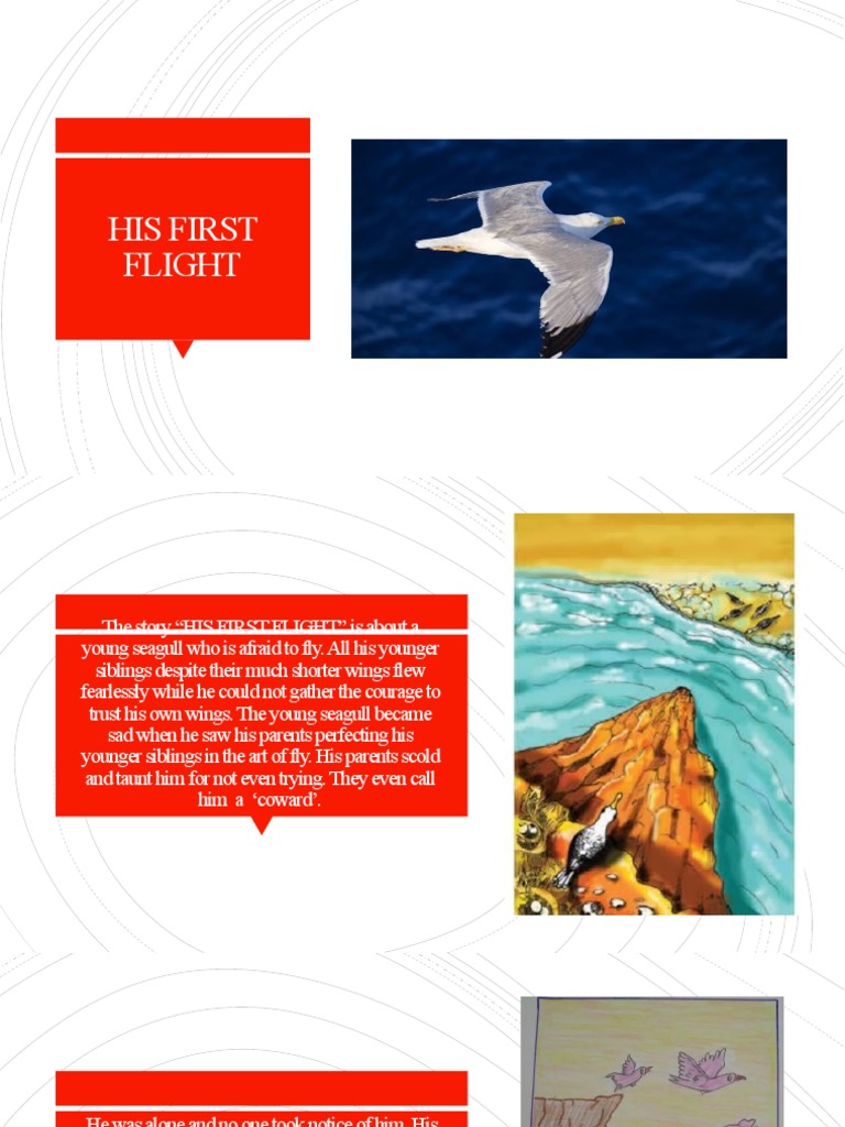 Young Seagull's First Flight Journey | PDF | Poetry