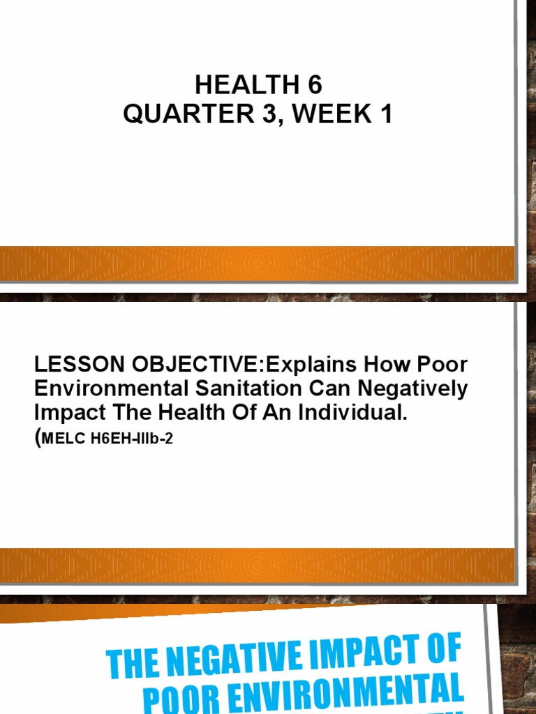 The Negative Impact of Poor Environmental Sanitation On The Health of ...
