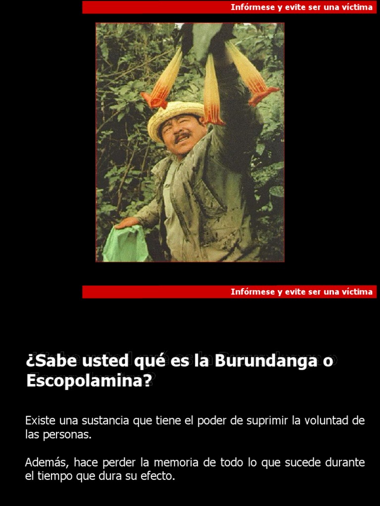 Escopolamina Burundanga | PDF | Medicina CLINICA | Ciencias de la Salud