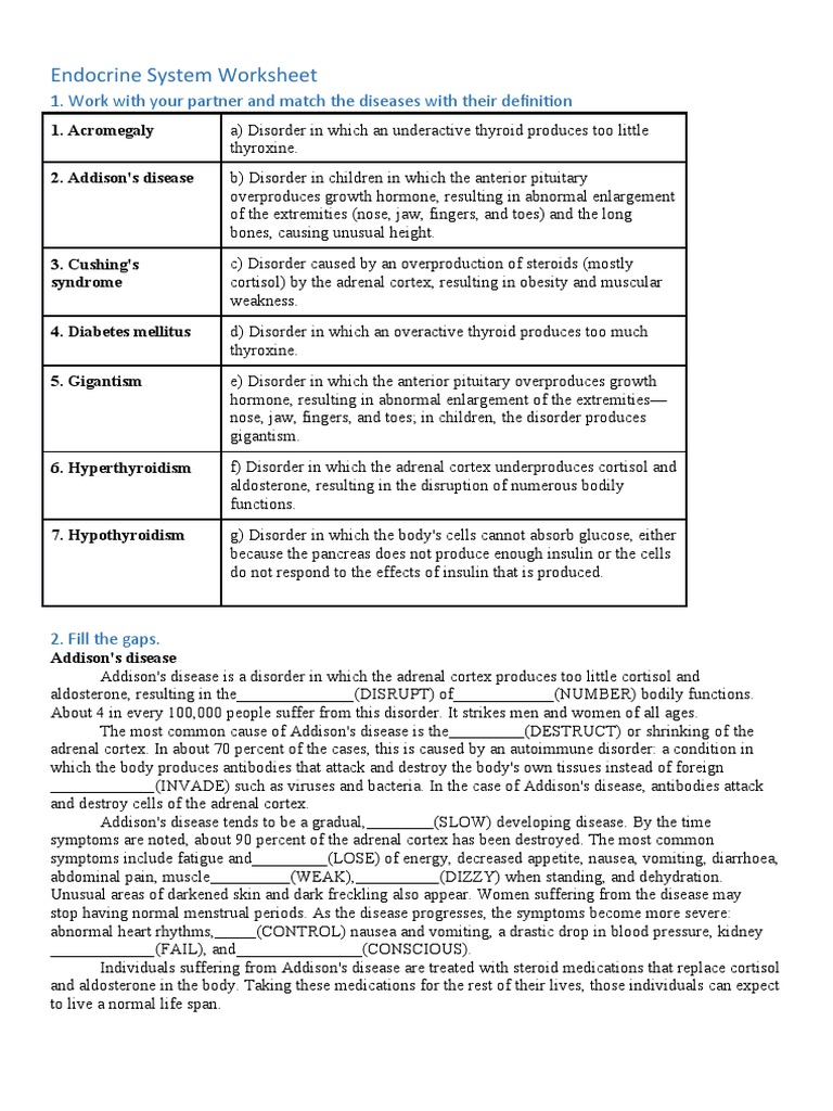 Endocrine System Worksheet: 1. Work With Your Partner and Match The ...