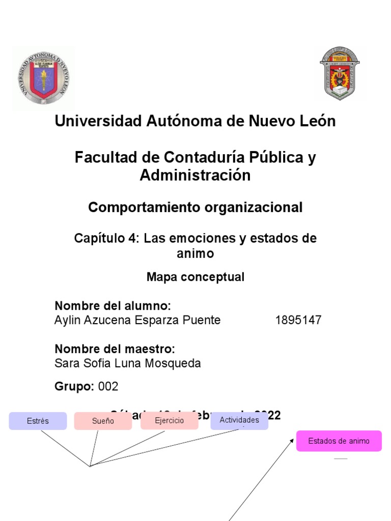 Mapa Conceptual Cap 4 | PDF