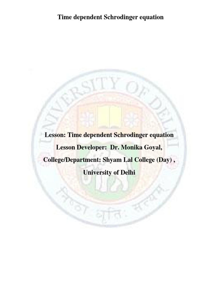 Time Dependent Schrodinger Equation | PDF | Wave Function | Waves