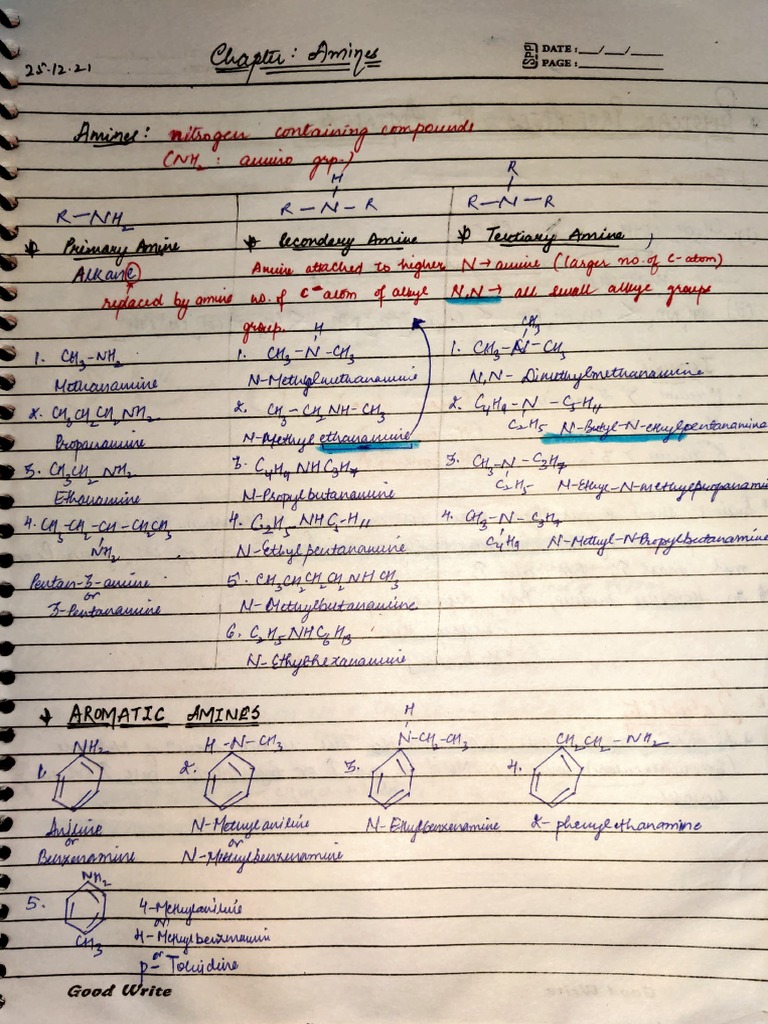 Amines Notes | PDF