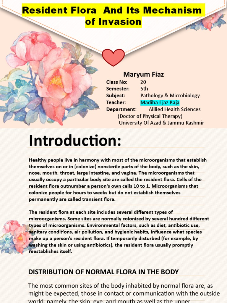 Resident Flora and Its Mechanism of Invasion: Maryum Fiaz | PDF ...
